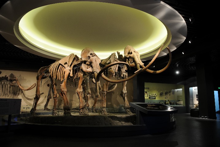 Daqing Museum | govt.chinadaily.com.cn