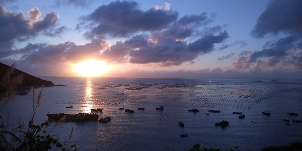 Zhejiang Pingyang Nanji Islands Wetlands | govt.chinadaily.com.cn