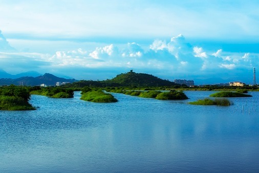 Guangdong Haifeng Wetlands | govt.chinadaily.com.cn