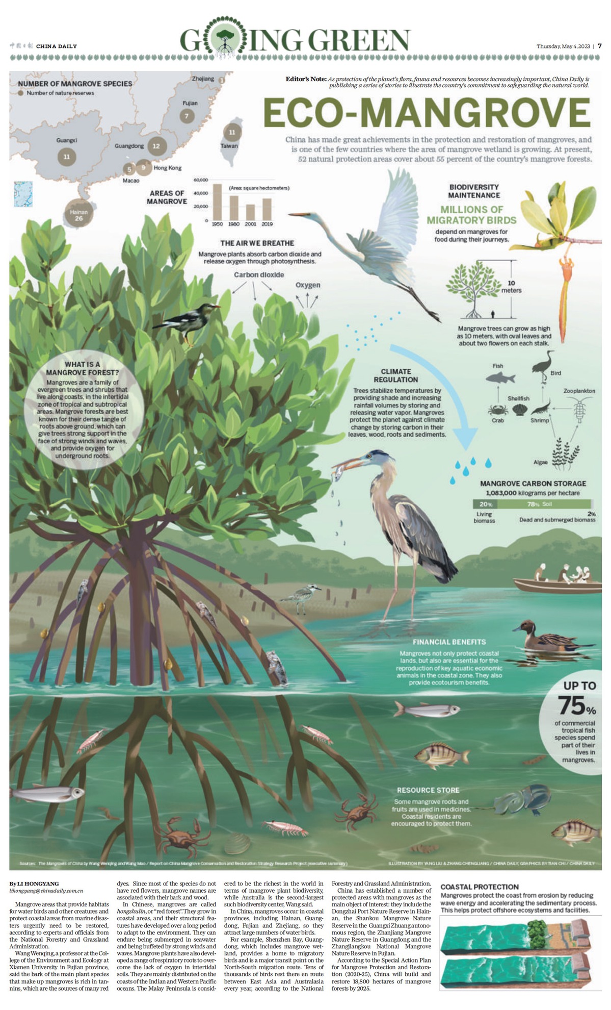 Eco Mangrove | govt.chinadaily.com.cn
