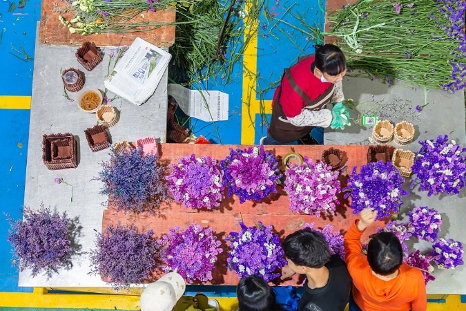 China's Yunnan sees blooming flower export in 2023 | investinchina ...