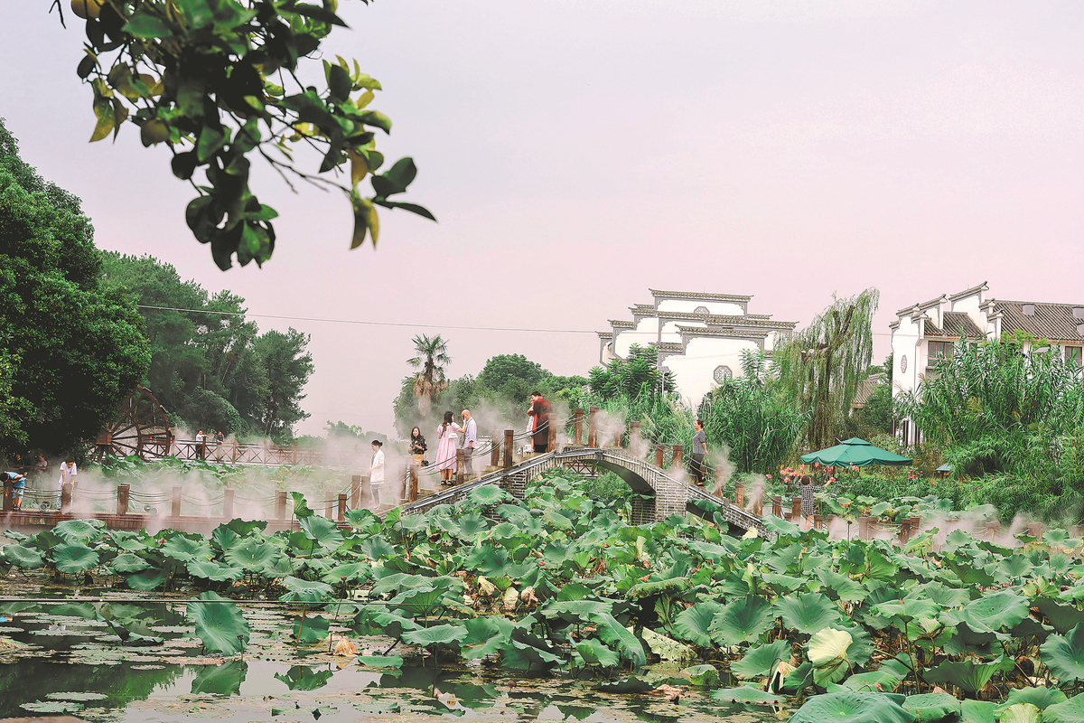 Rural vitalization efforts reap big success of page 2 | workinchina.chinadaily.com.cn