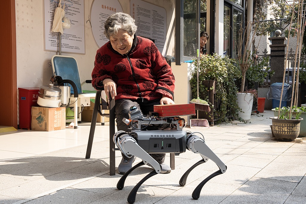 International standard for elderly care robots has been released ...