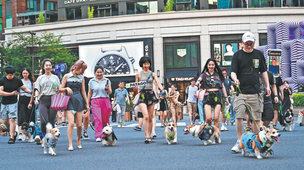 Dog weddings — how new industry laps up puppy love | investinchina ...